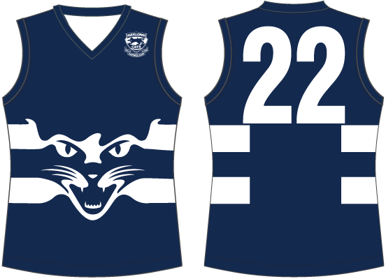 North Melbourne's new away guernsey : r/AFL